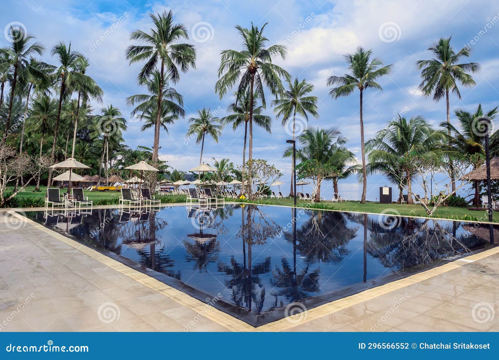 View of Swinging Pool To Coconut Trees Stock Photo - Image of beach ...