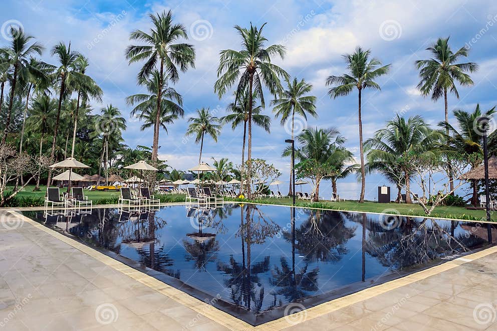 View of Swinging Pool To Coconut Trees Stock Photo - Image of beach ...