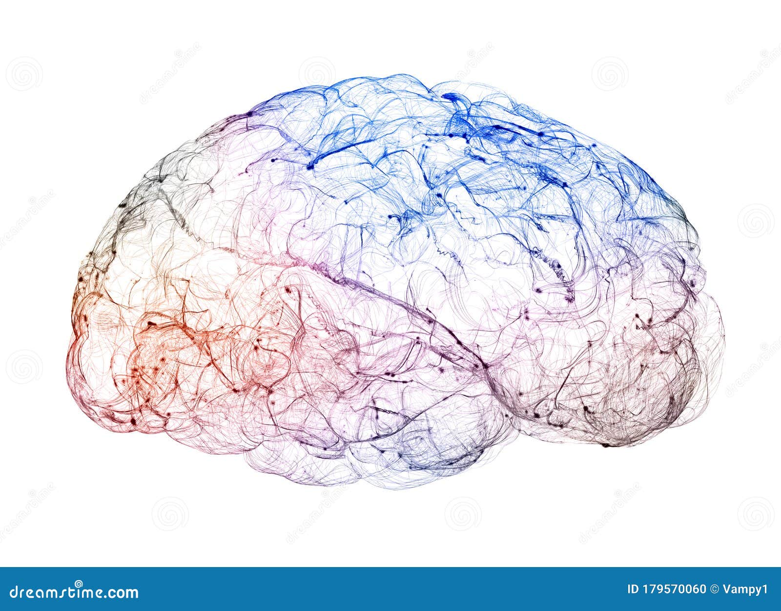 View Of The Synapses. Brain Connections. Neurons And Synapses ... View Of The Synapses. Brain Connections. Neurons And Synapses ...