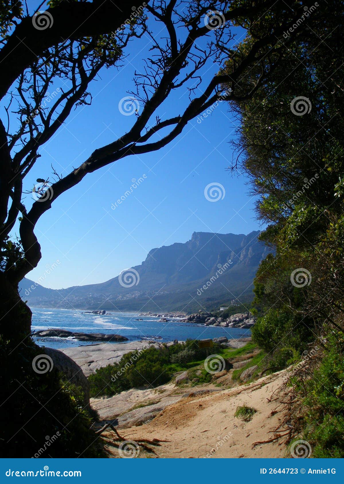 View of Table Mountain stock image. Image of beach, summer - 2644723