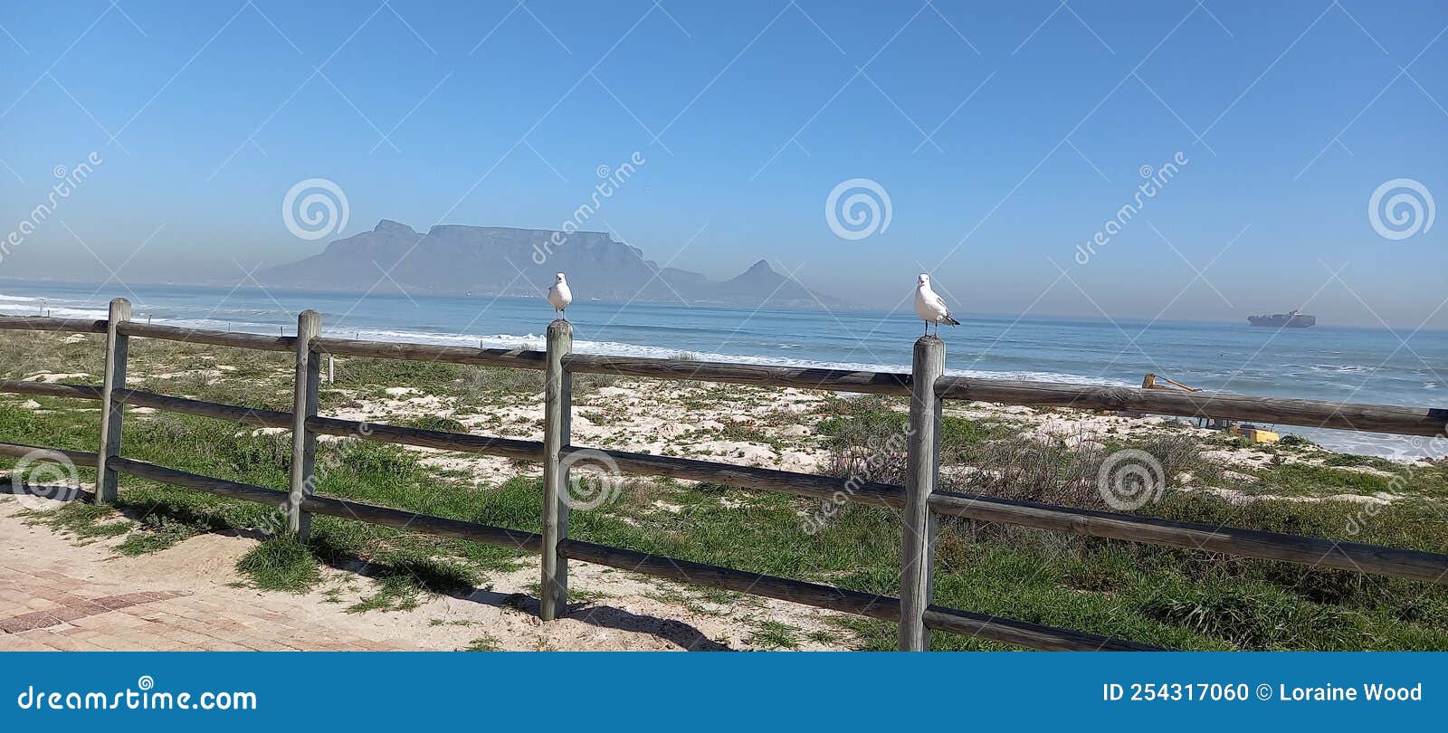 View of Table Mountain from Tablebay Stock Photo - Image of sand, wind ...