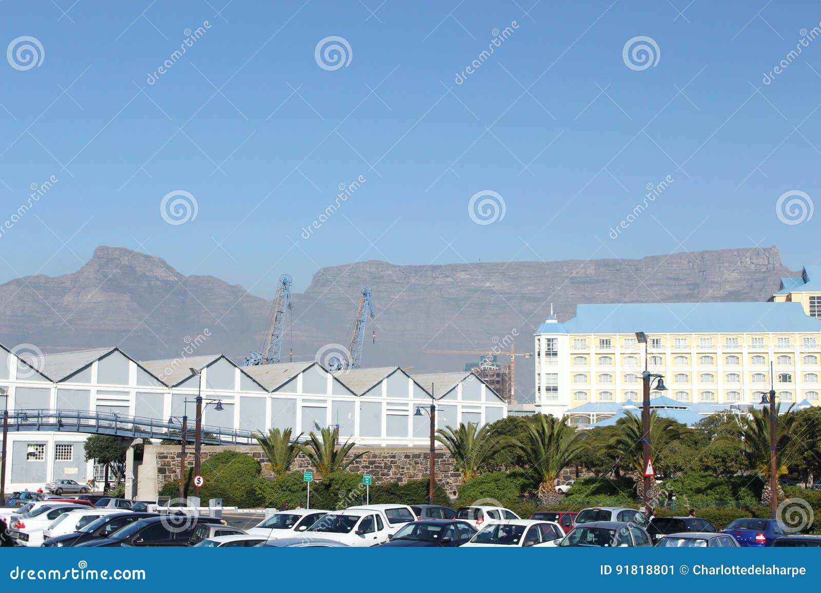 View of Table Mountain stock image. Image of mountain - 91818801