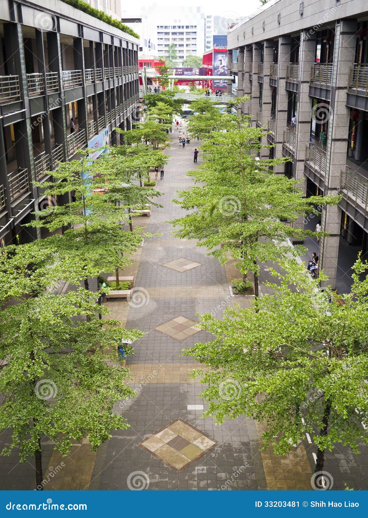 View Of Taipei 101 And The Taipei Skyline At Night, From Elephant ...
