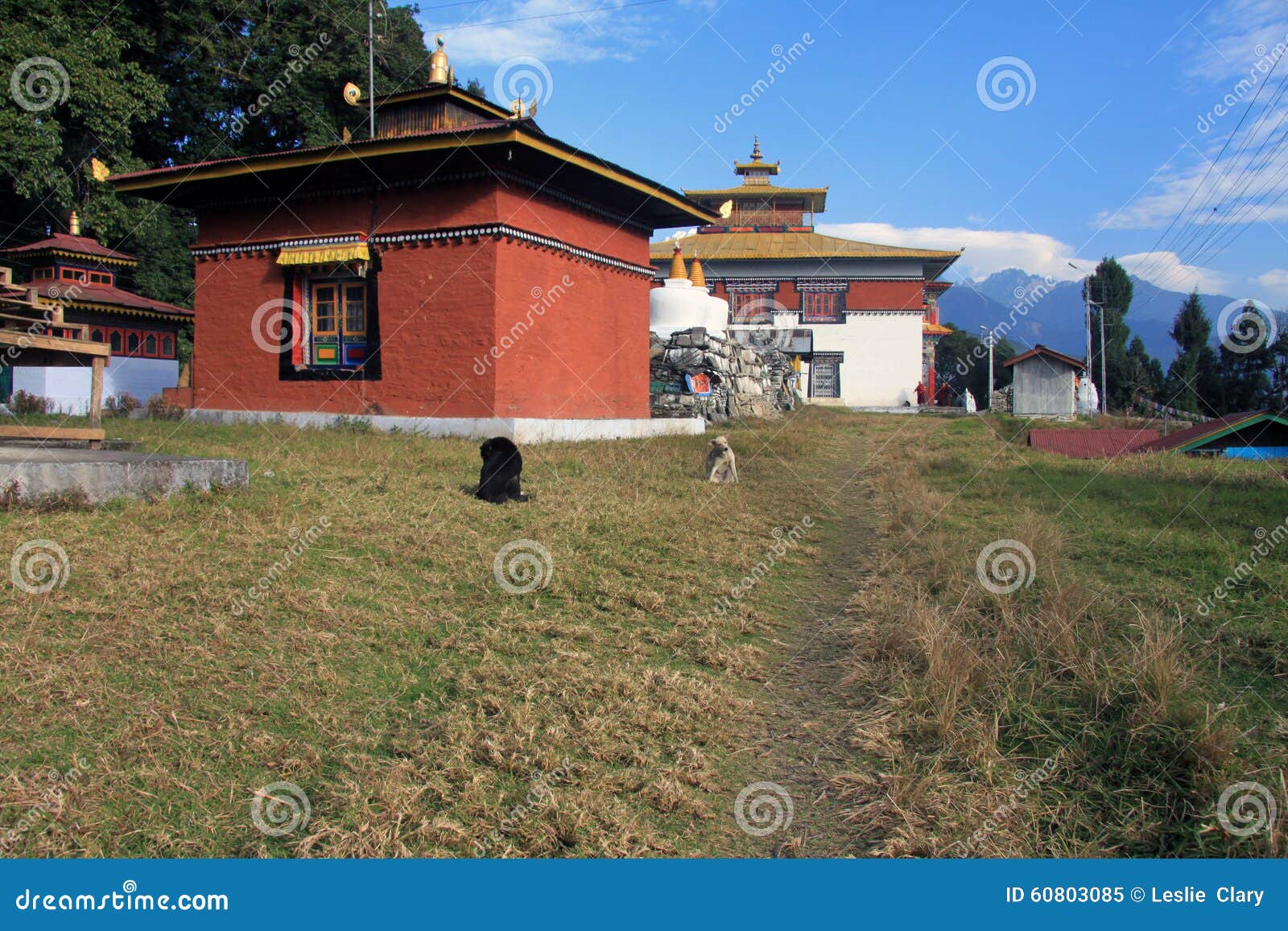 View of Tashiding Monastery Stock Image - Image of mani, lies: 60803085