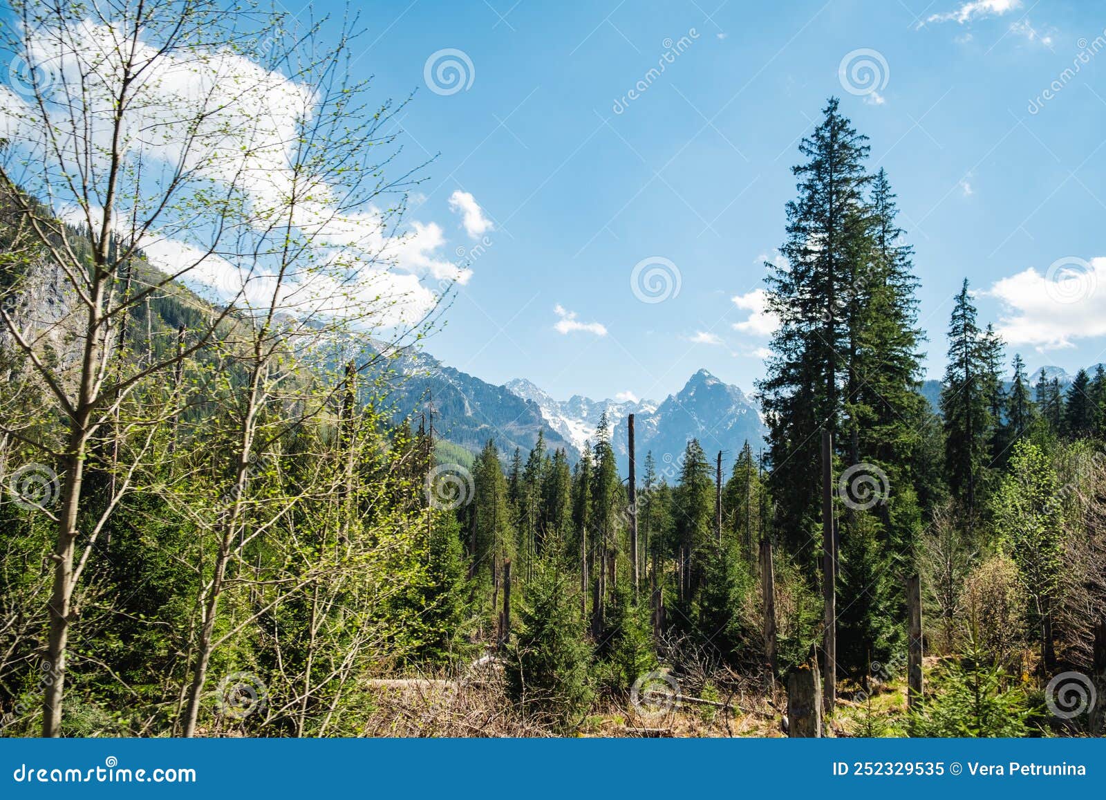View of the Tatras Mountains Stock Image - Image of nature, shadow ...