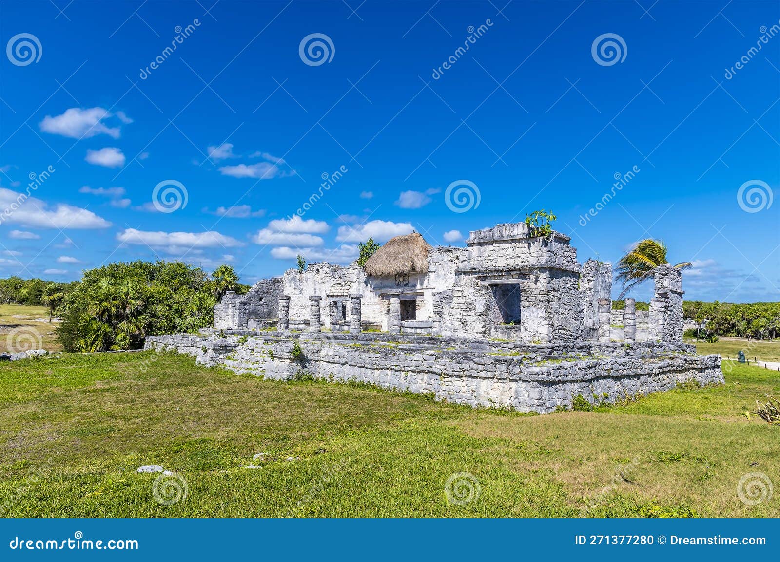 A View of a Temple Ruins on an Elevated Platform at the Mayan ... A View of a Temple Ruins on an Elevated Platform at the Mayan ...
