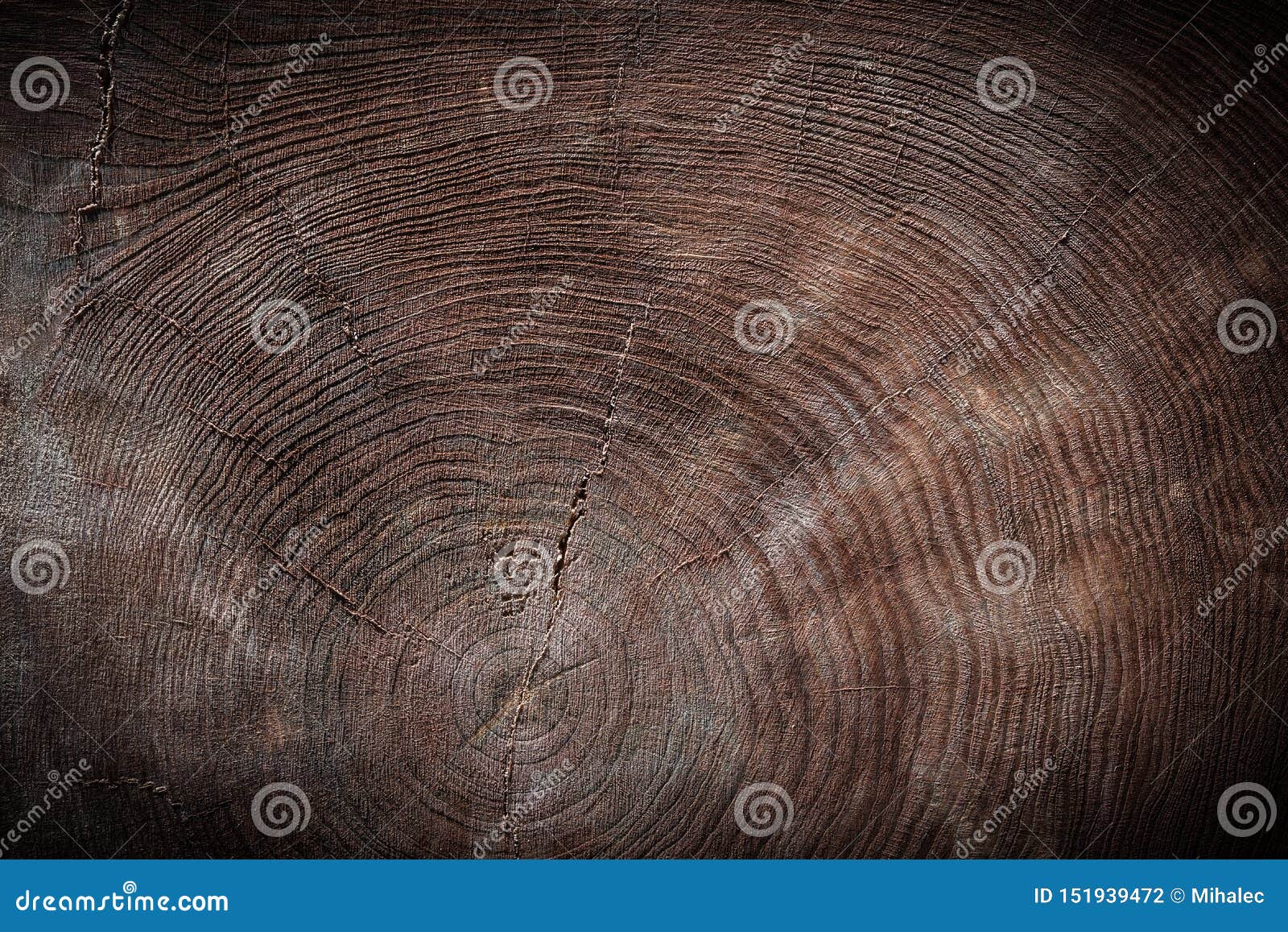 View on Texture Cross Cut Old Tree Trunk Stock Photo - Image of ...
