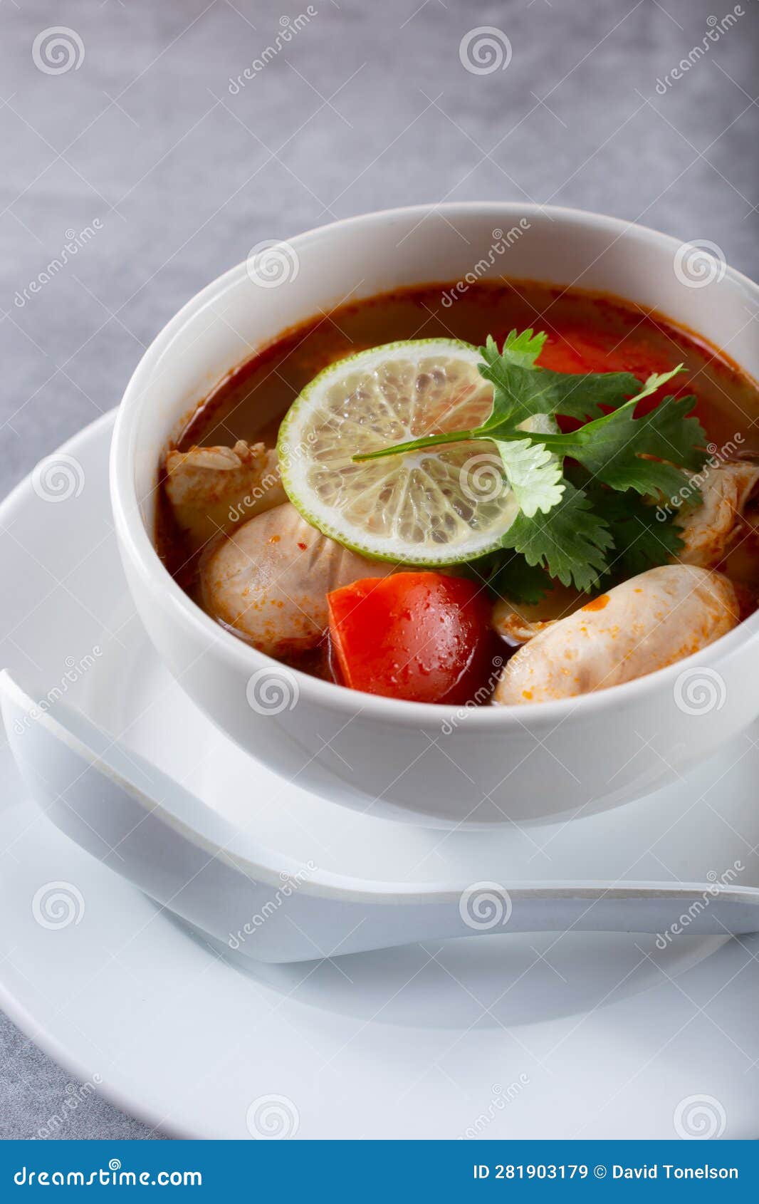 Thai soup, tom yum gai stock image. Image of home, tomato - 281903179 Thai soup, tom yum gai stock image. Image of home, tomato - 281903179