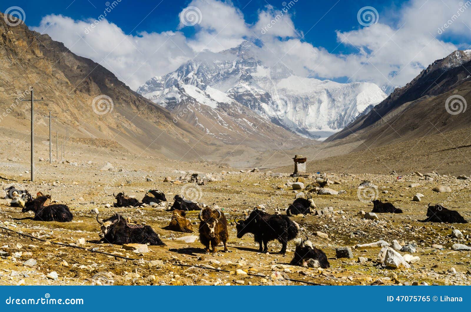 View from the Tibetan Plateau on Mount Everest Stock Image - Image of ...
