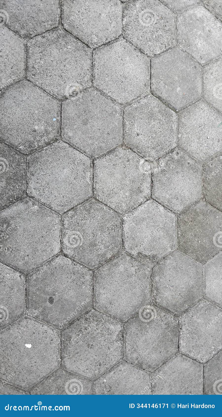A View of a Floor Covered in Interlocking Pentagon-shaped Tiles ...