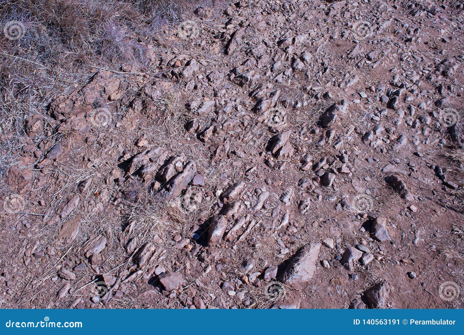 TIPS of LARGE EMBEDDED ROCKS VISIBLE on the SURFACE of the GROUND Stock ...
