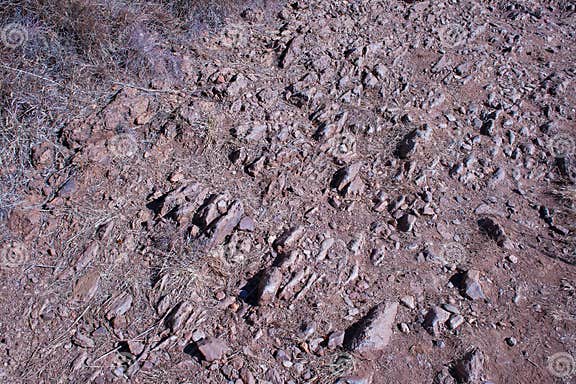 TIPS of LARGE EMBEDDED ROCKS VISIBLE on the SURFACE of the GROUND Stock ...