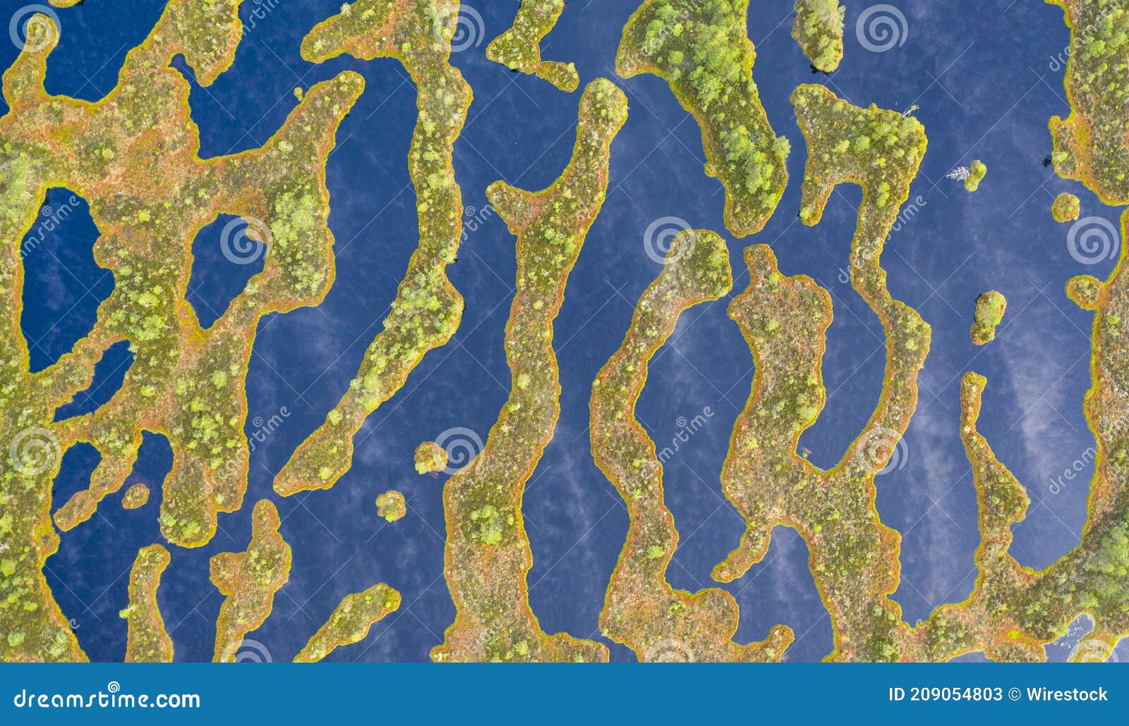 View To the Complex Pattern of Peat Bog Pools and Intermediate Ridges ...