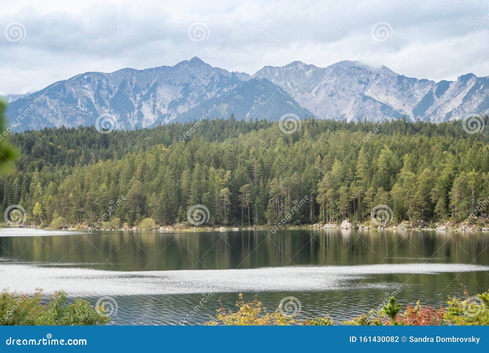 View To the Eibsee between Trees and Shrubs Stock Photo - Image of ...