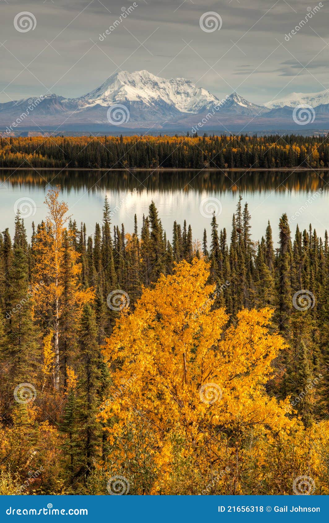View To Mount Wrangell and Zanetti Stock Photo - Image of volcano ...