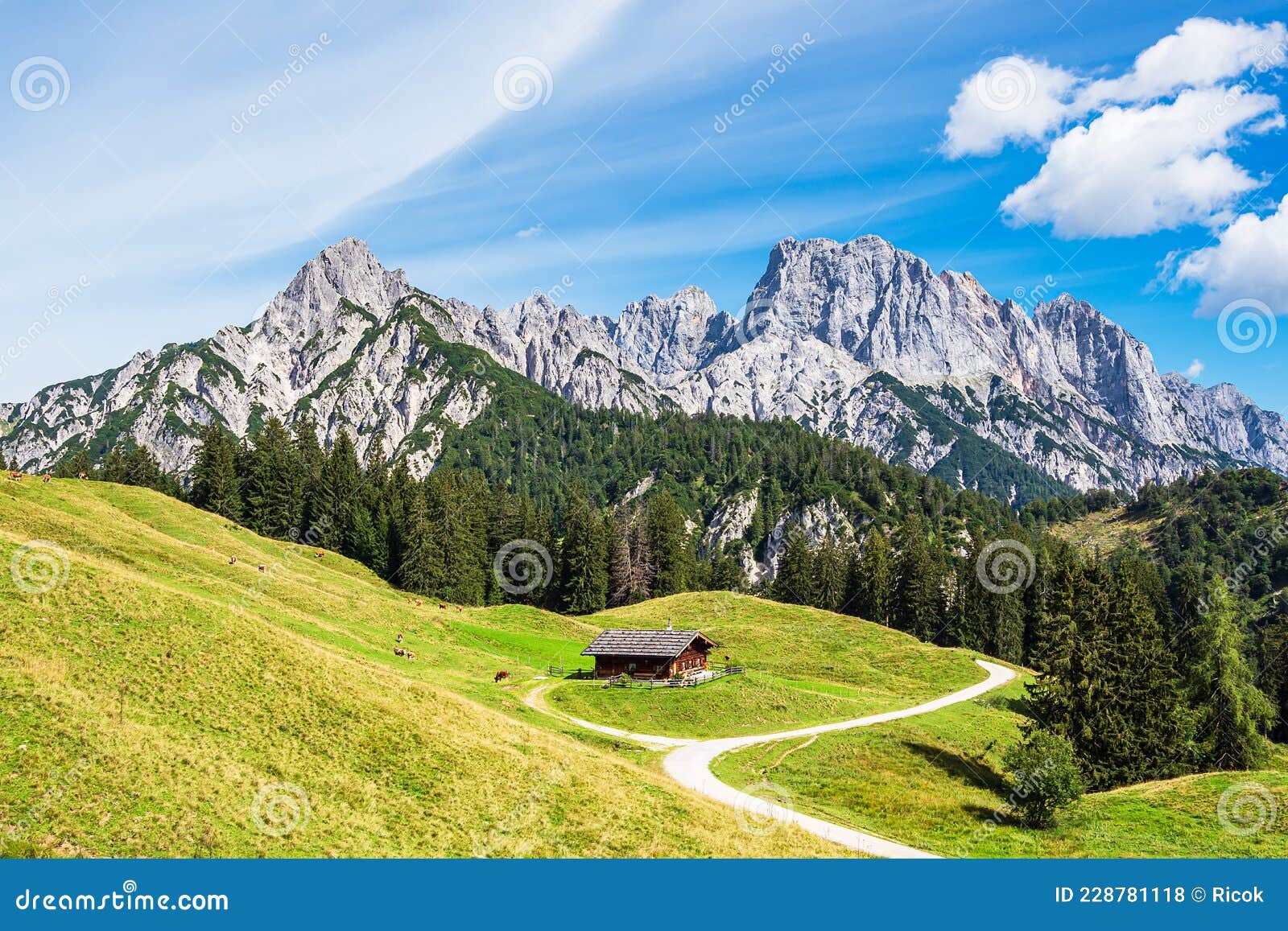 View To the Mountain Pasture Litzlalm in the Alps, Austria Stock Photo ...