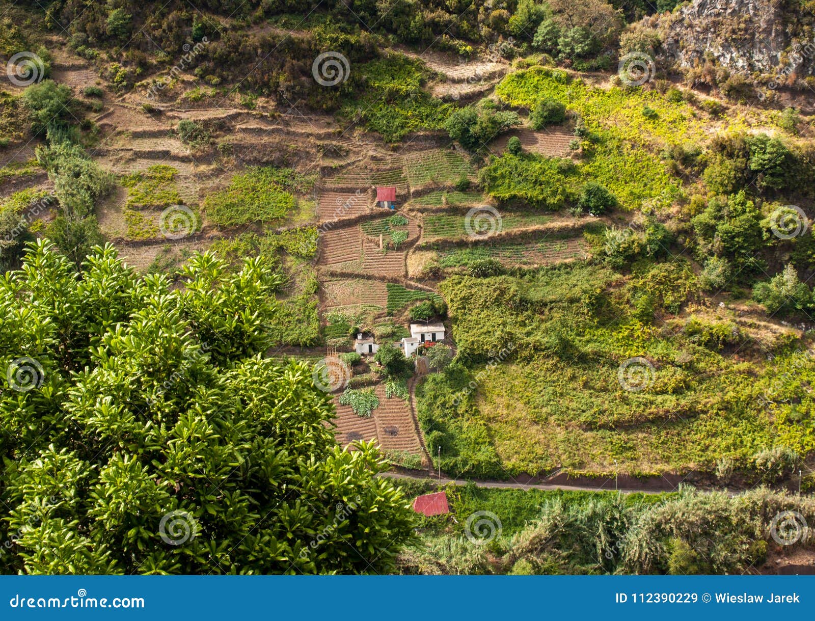 View To the South from the Pass Boca Da Encumeada in Madeira. Stock ...