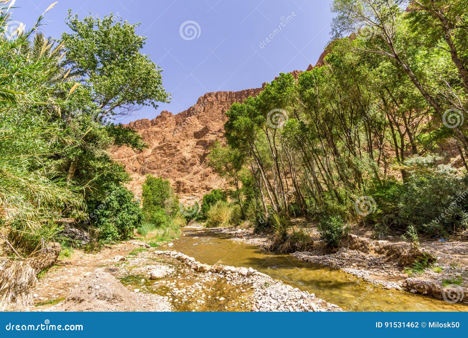 View at the Todra River in Todgha Gorge ,Morocco Stock Photo - Image of ...