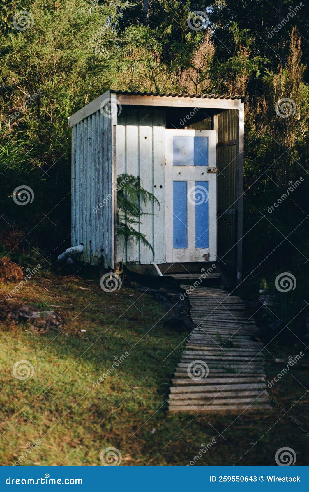 View of a Toilet in a Garden with Trees on a Sunny Day Stock Image ...