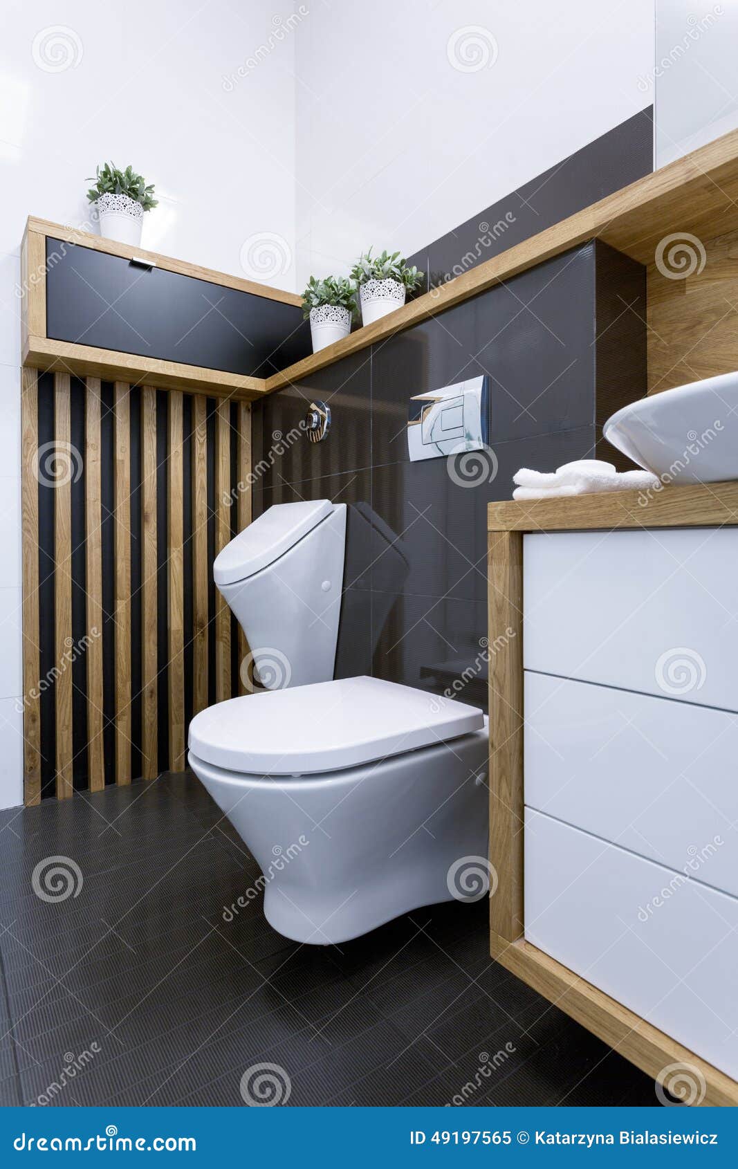 View of toilet stock image. Image of black, modern, estate - 49197565