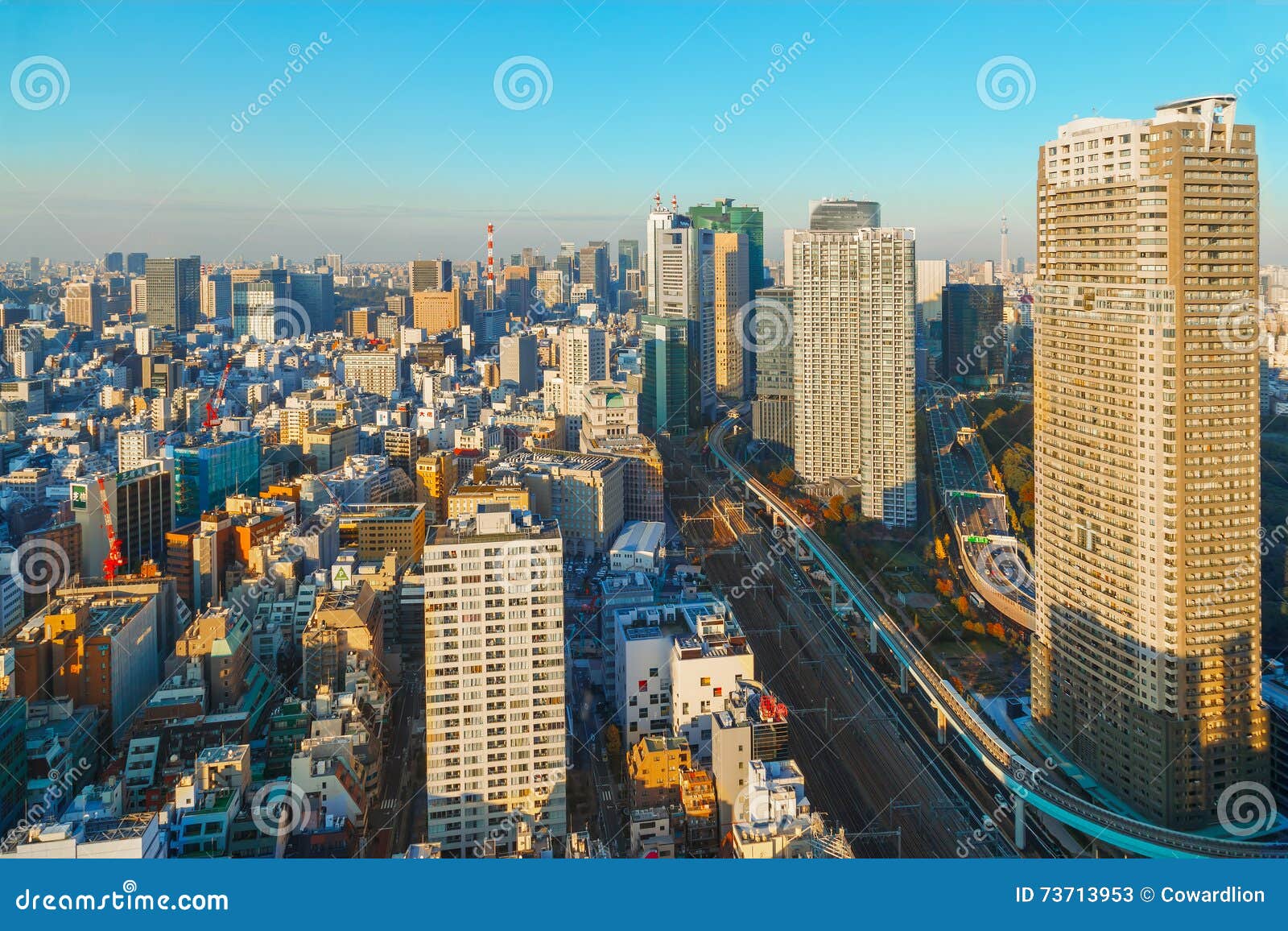 View of Tokyo city editorial stock photo. Image of city - 73713953