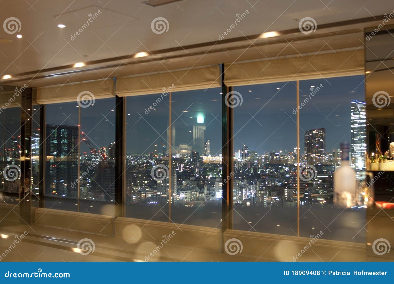 View on Tokyo cityscape editorial stock photo. Image of interior - 18909408