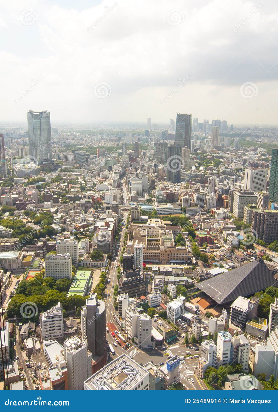 View of Tokyo from Tokyo Tower Editorial Stock Image - Image of rise ...