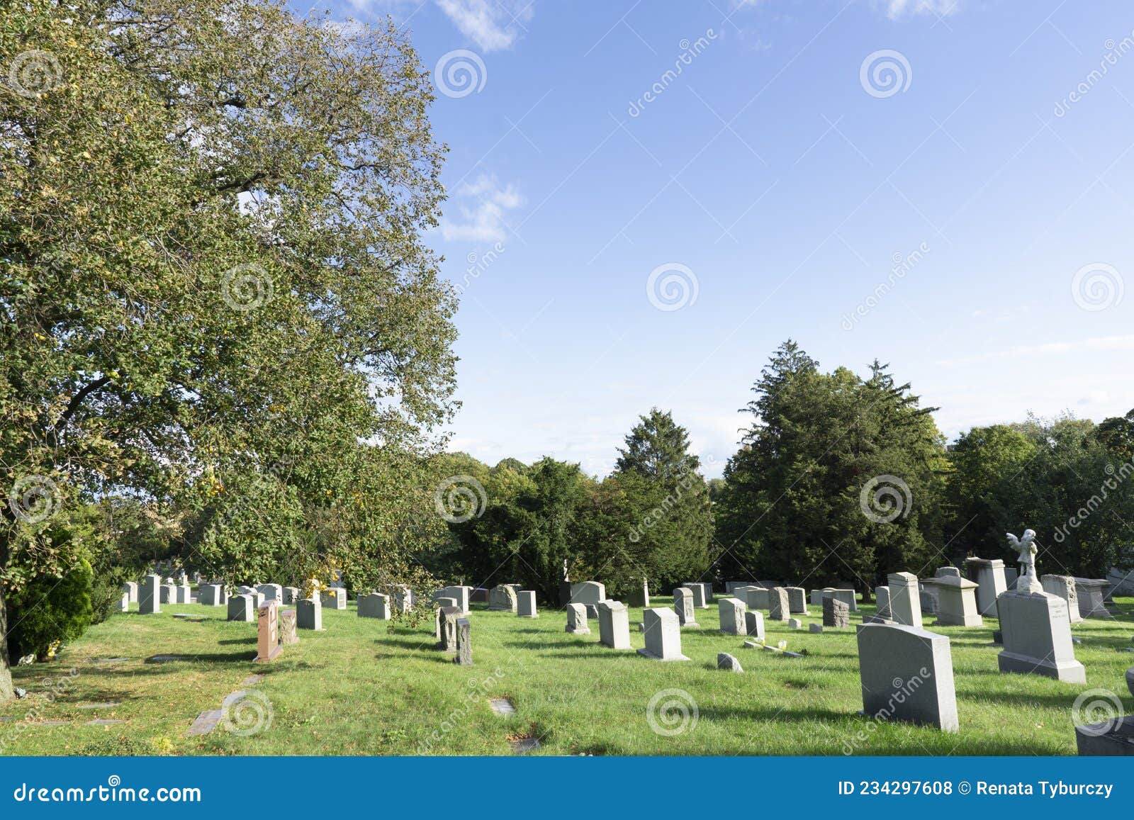 View of Tombs and Graves on Cemetery. Grass and Trees Around Stock ...