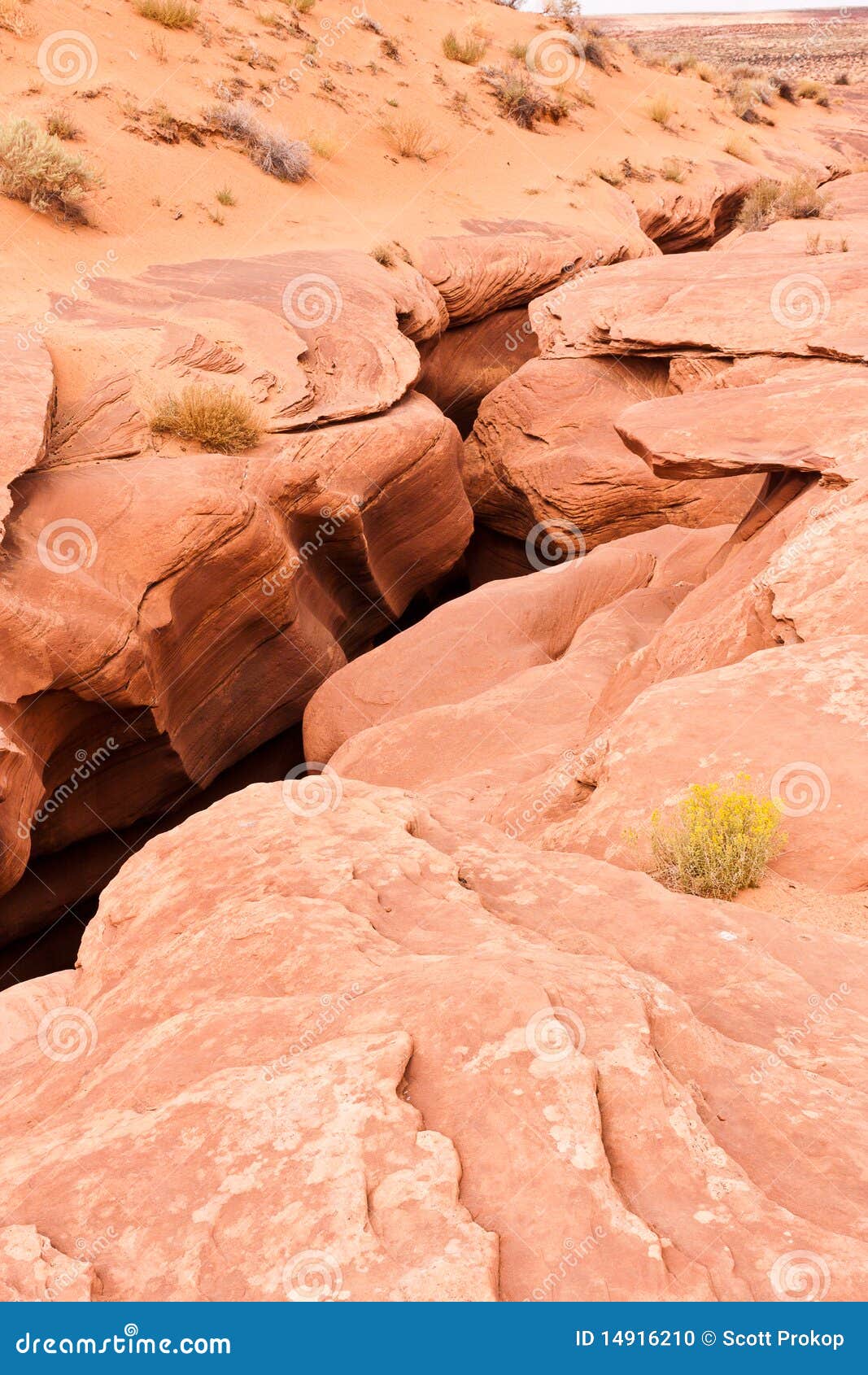View from the Top of Antelope Canyon in Arizona Stock Photo - Image of ...