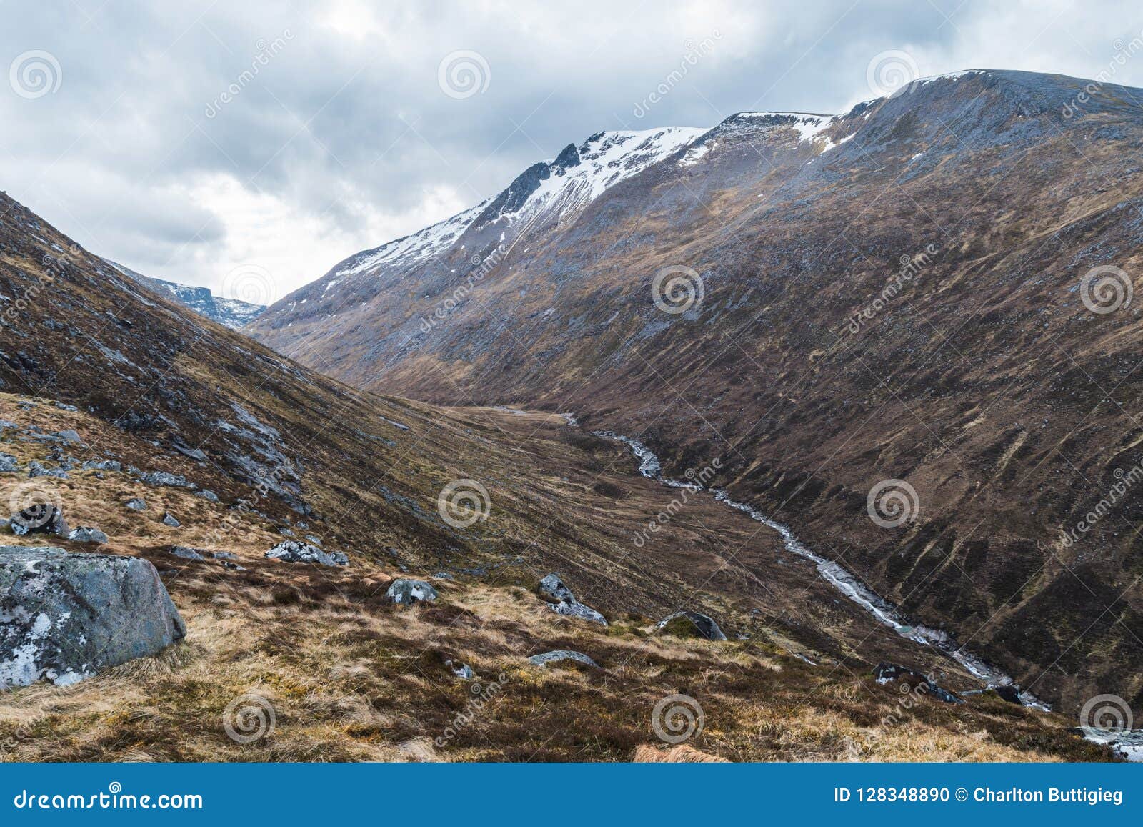 View at the Top of Ben Nevis Stock Photo - Image of grass, flow: 128348890