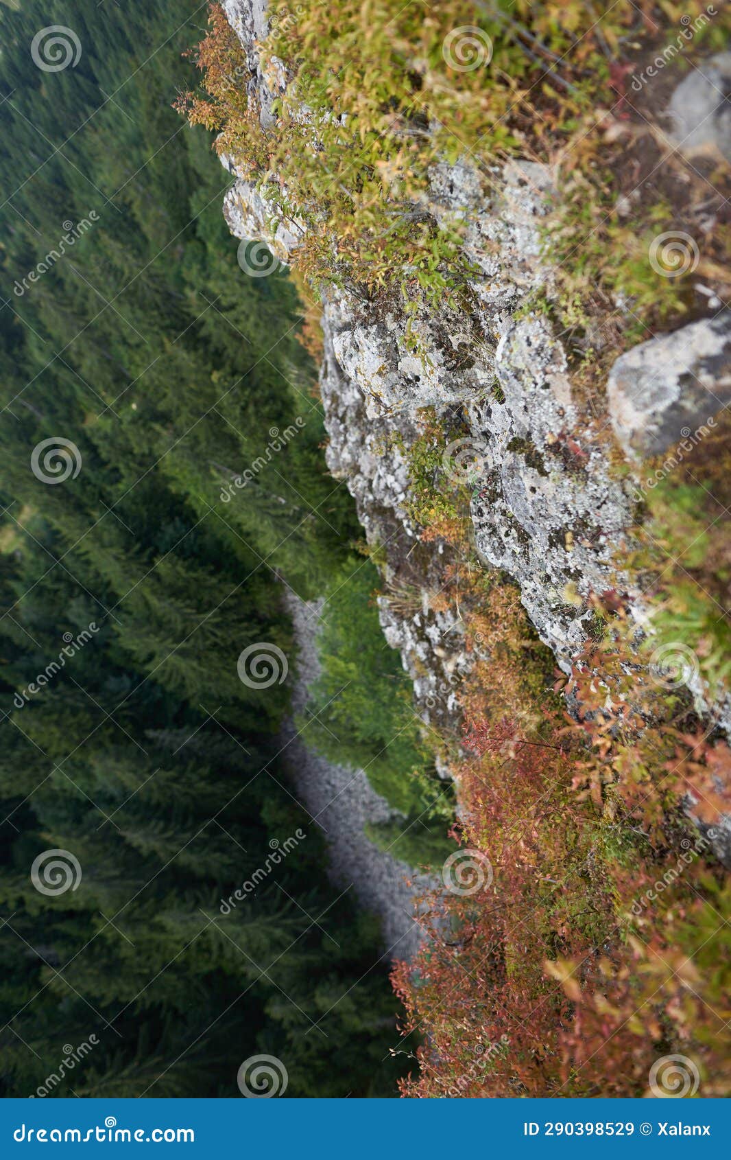 View from Top of a Cliff in the Mountains Stock Image - Image of nature ...