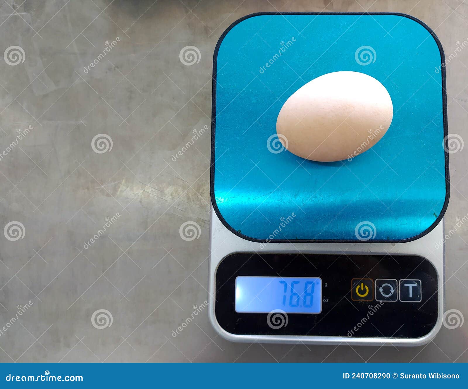 The Egg Weighed on a Mini Digital Scale, Hatching Eggs. Stock Photo ...