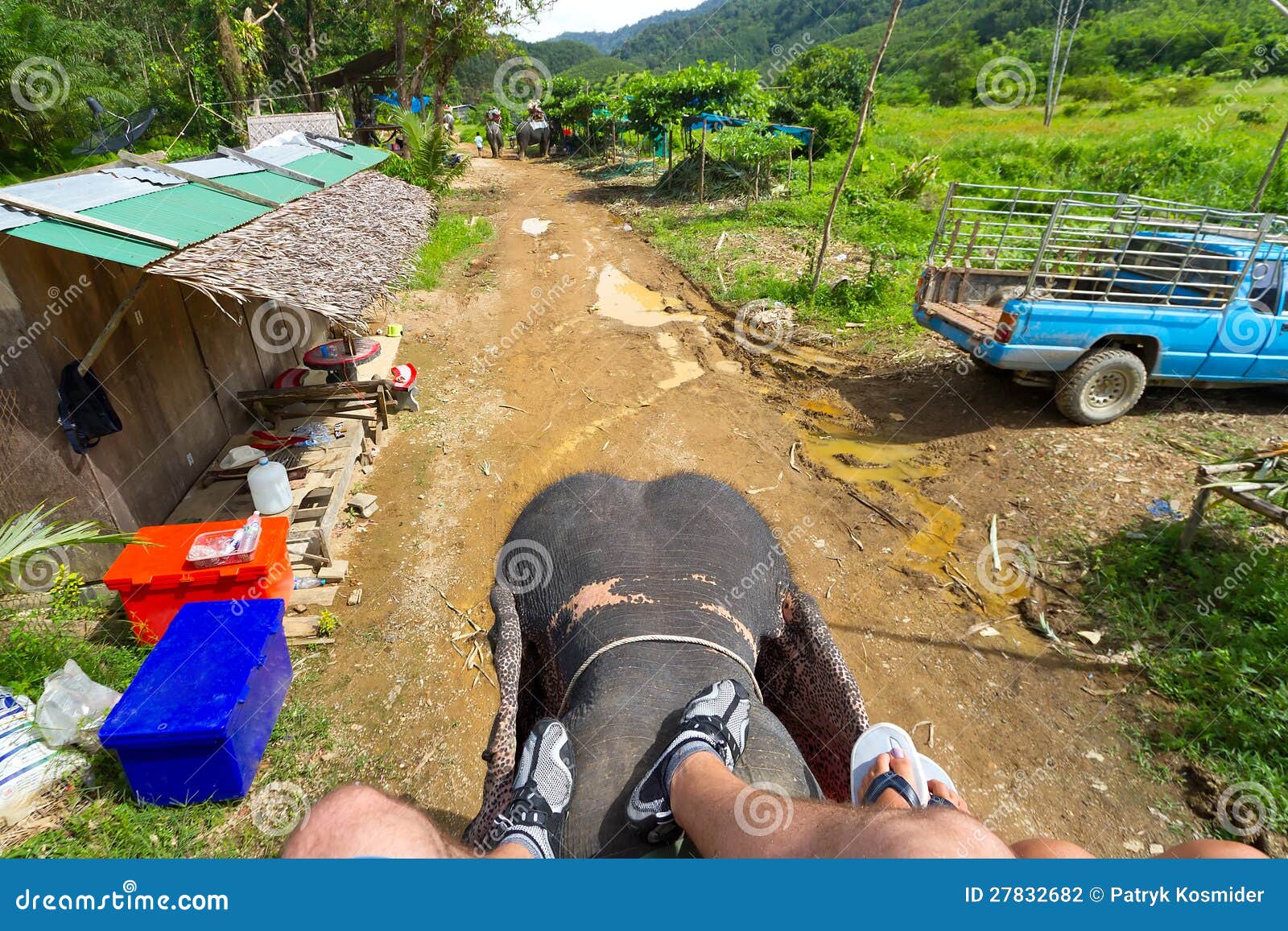 View from the Top of the Elephant Stock Photo - Image of adventure ...