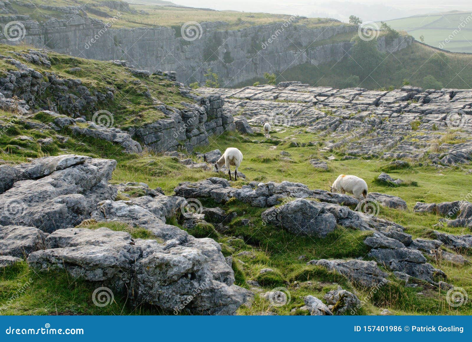 The top of Malham Cove. stock photo. Image of dale, yorkshire - 157401986