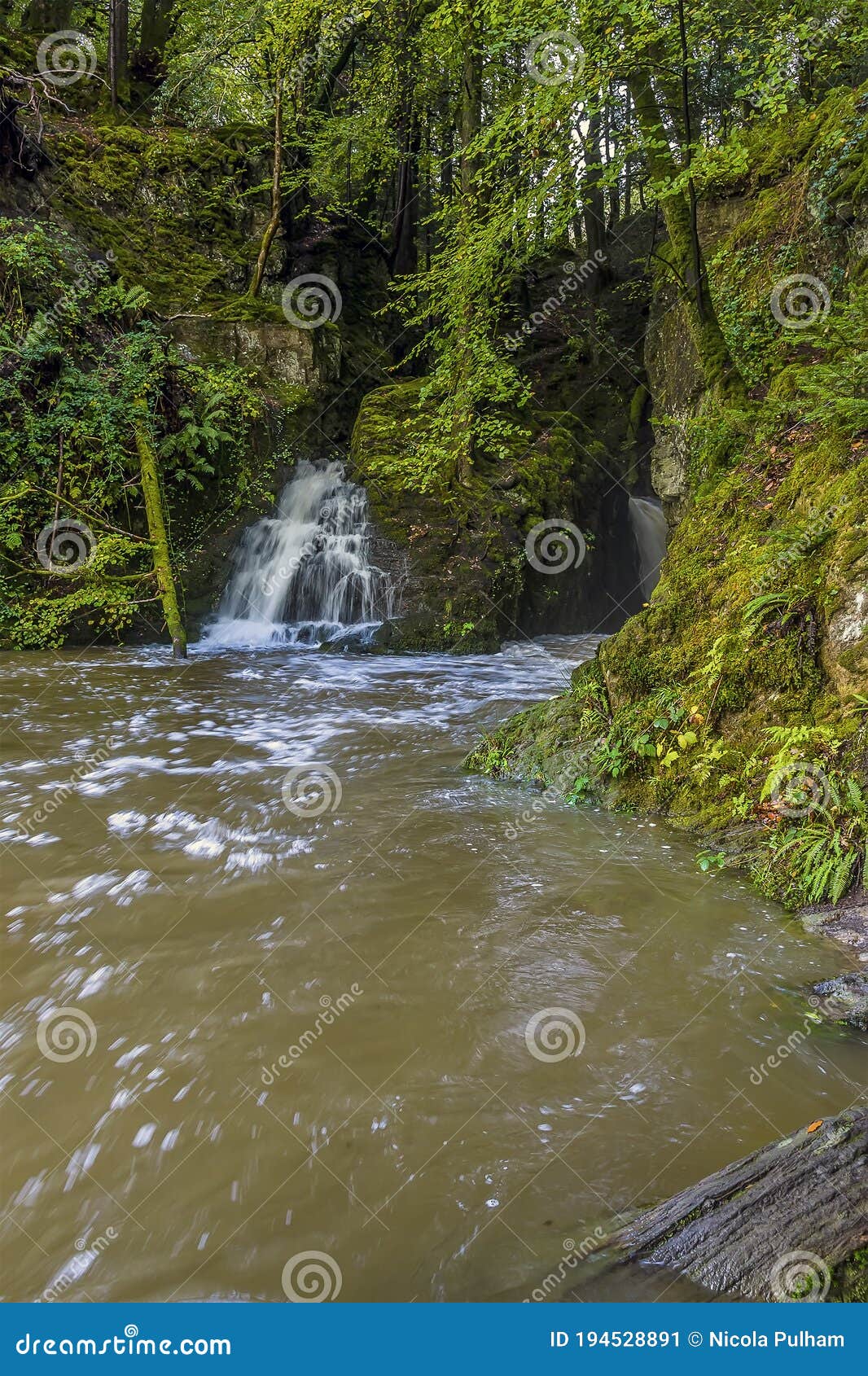 A View Towards the Waterfalls at Ffynone, Wales after Heavy Rainfall ...