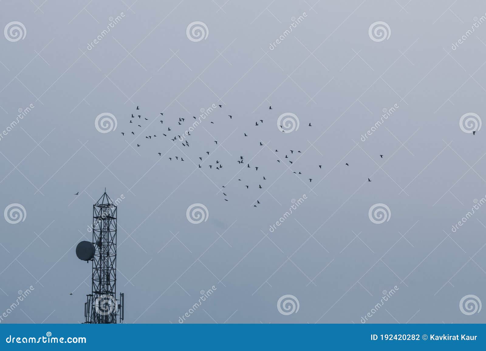 Tower and Birds Flying in the Sky Stock Photo - Image of birds ...