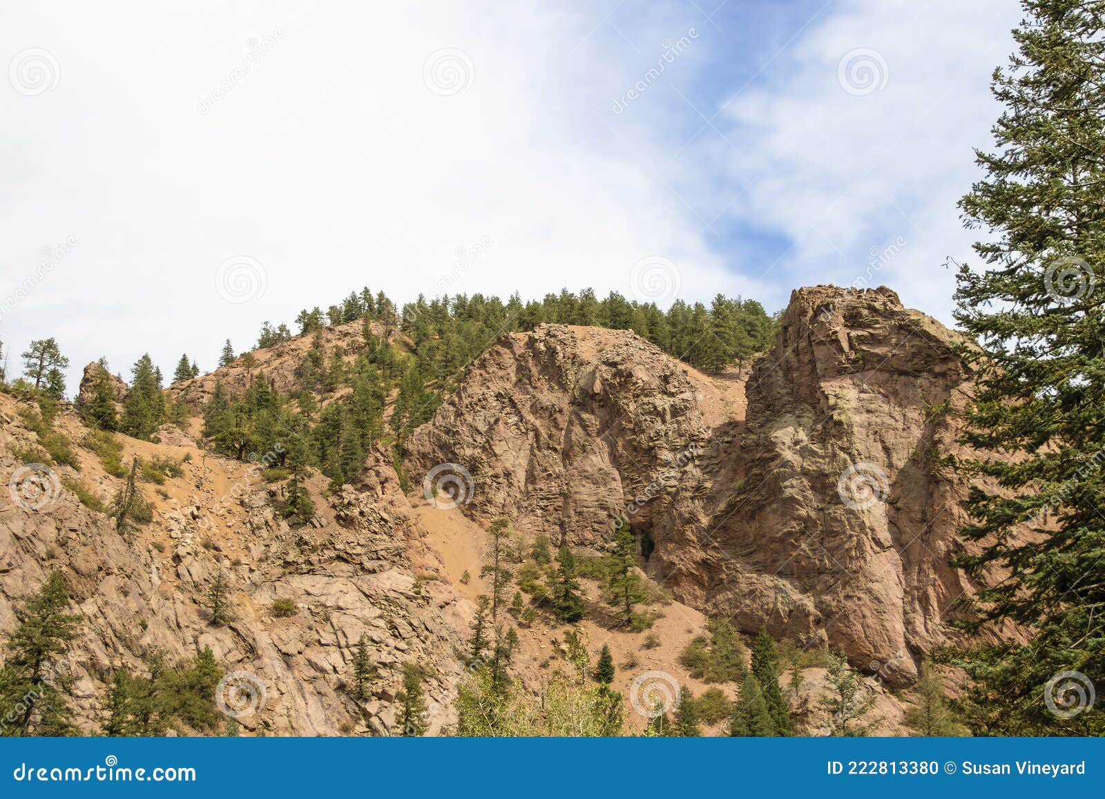 View of Towering Cliffs and Slides with a Few Evergreen Trees and a ...