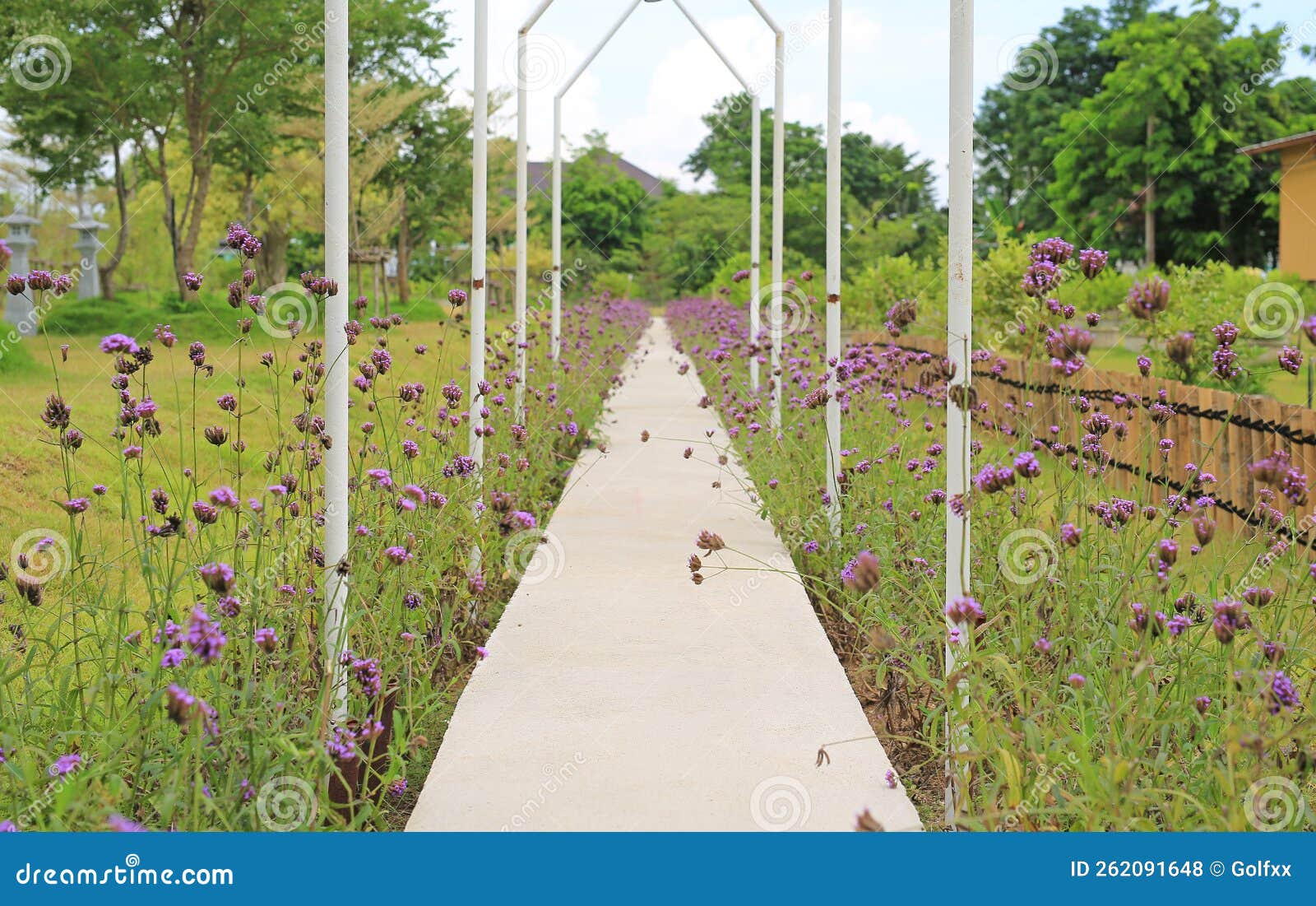 View of Traditional Japanese Garden with Walk Pathway Stock Photo ...