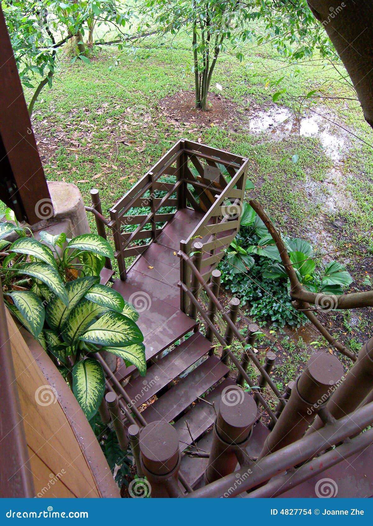 View from a tree house stock photo. Image of outdoor, children - 4827754