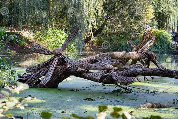 A View of a Tree on a Pond with a Composition of Flower Petals Made of ...