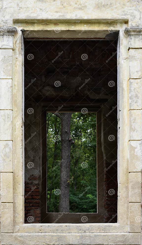 A View of a Tree through the Windows Stock Image - Image of getaway ...