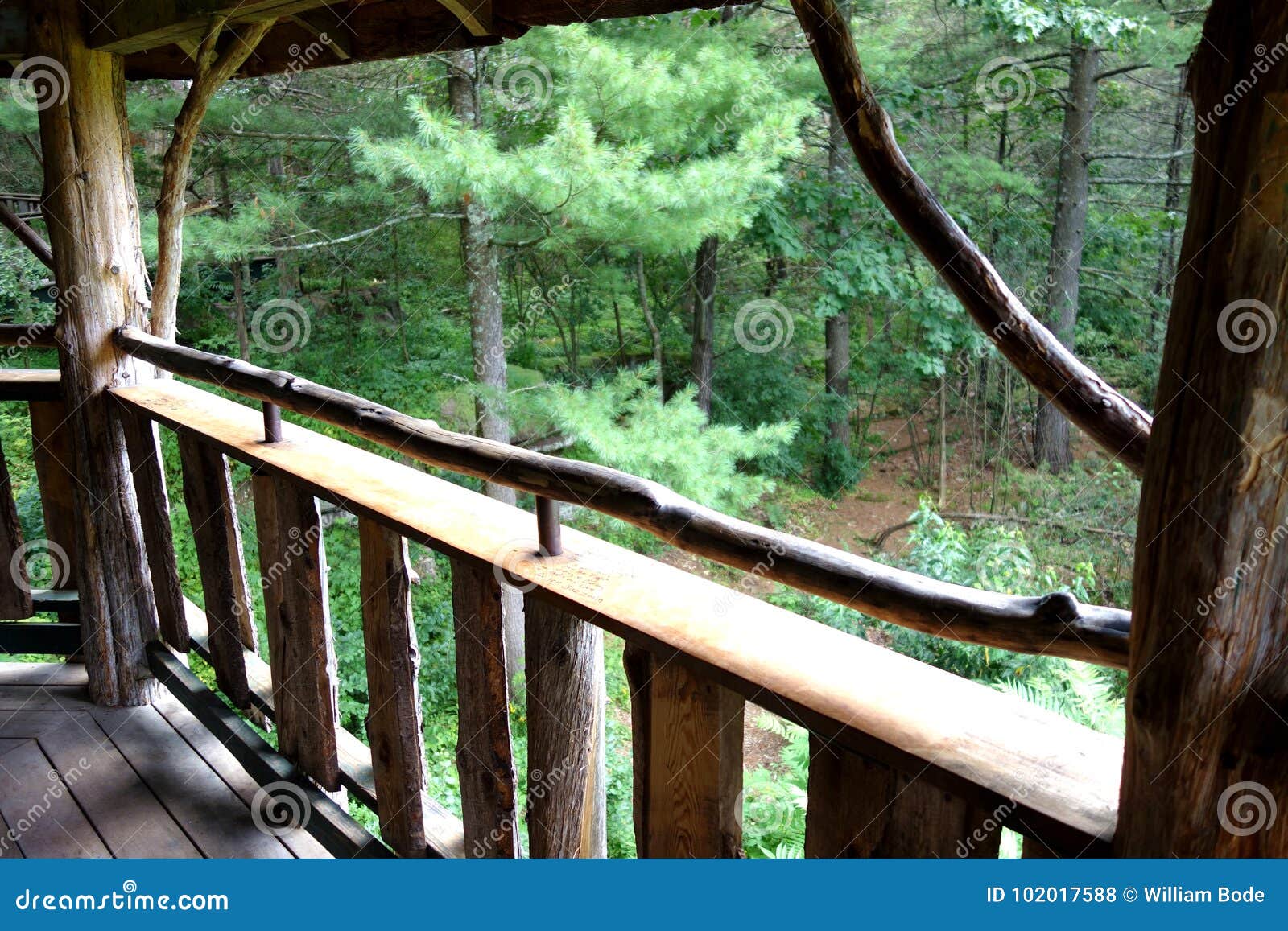 View from a Treehouse stock photo. Image of view, rail - 102017588