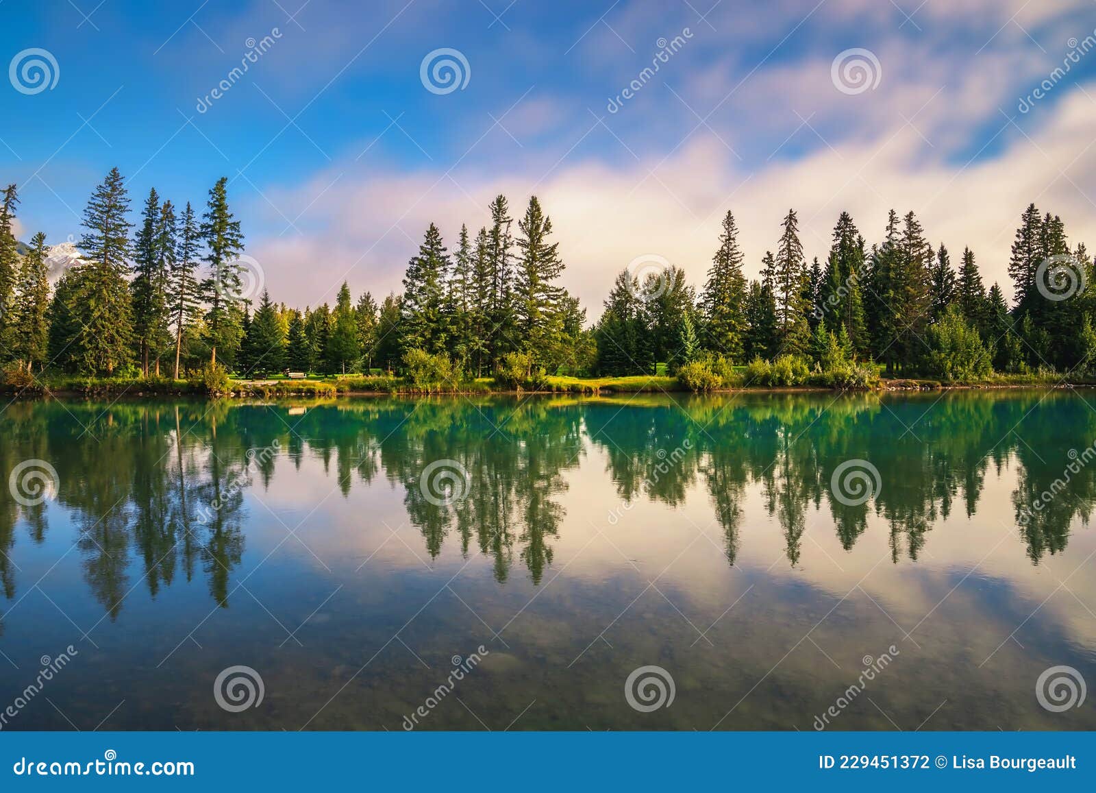Treeline Reflections on the Bow River Stock Photo - Image of calm ...