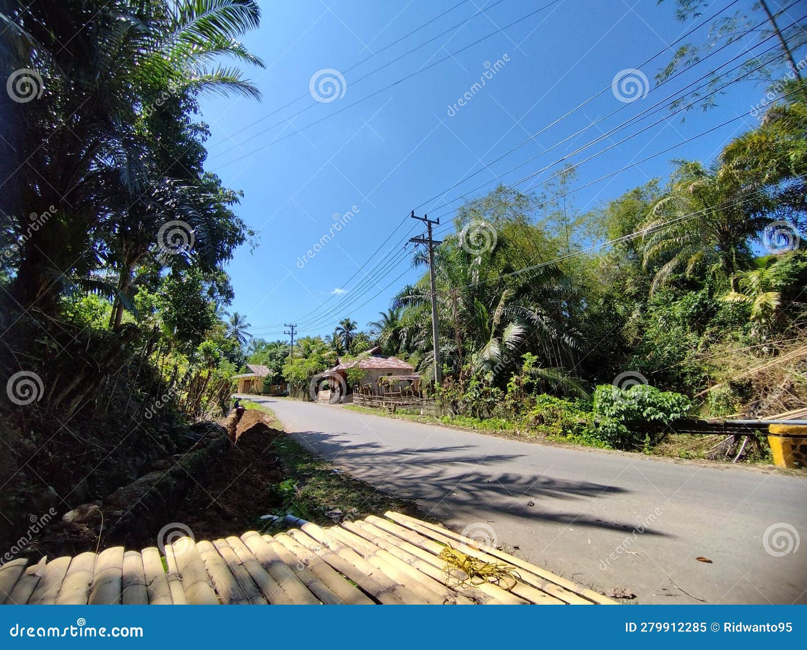 View of Trees Road Bridge in a Village Stock Image - Image of view ...