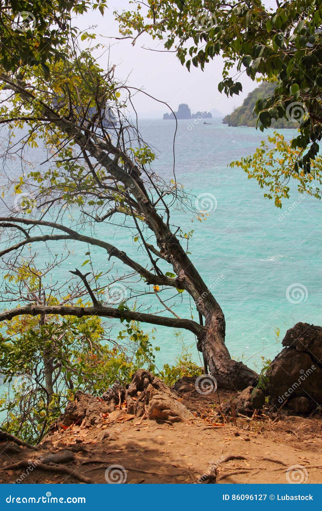 View through trees to sea stock image. Image of turquoise - 86096127