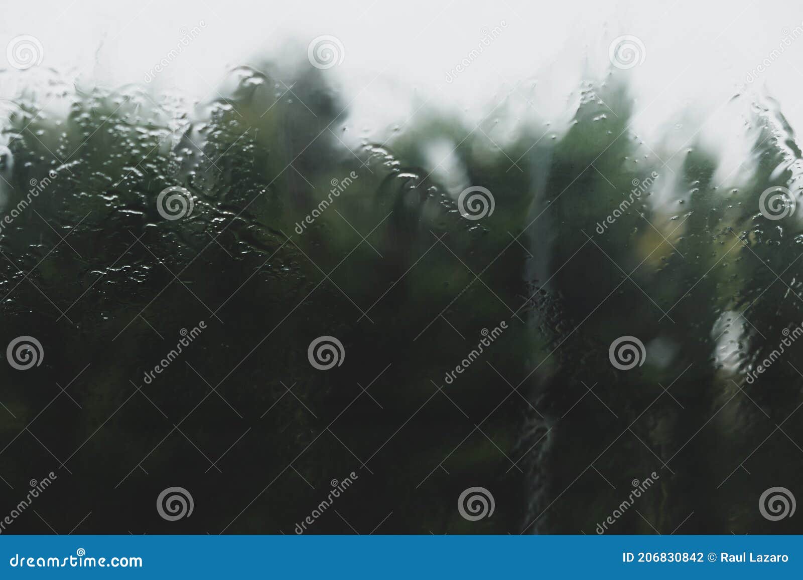 View of Trees from a Window Where Raindrops Fall Stock Photo - Image of ...