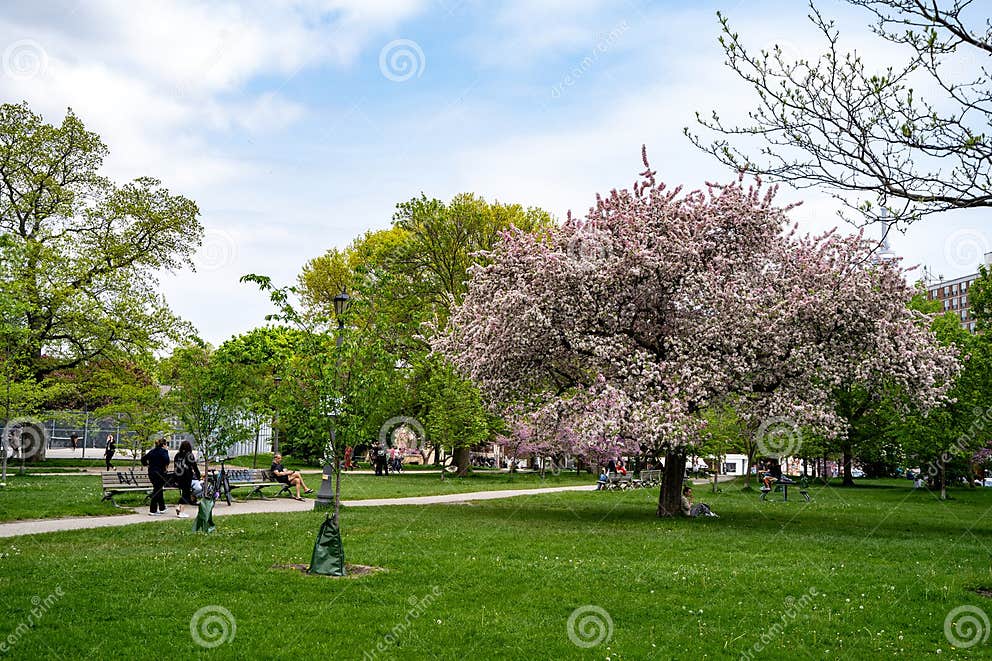 View of Trinity Bellwoods Park in Spring. Trinity Bellwoods Park is a ...