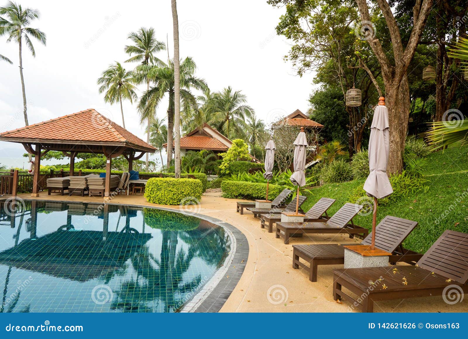 View of Tropical Palm Trees from the Pool Resort Stock Photo - Image of ...