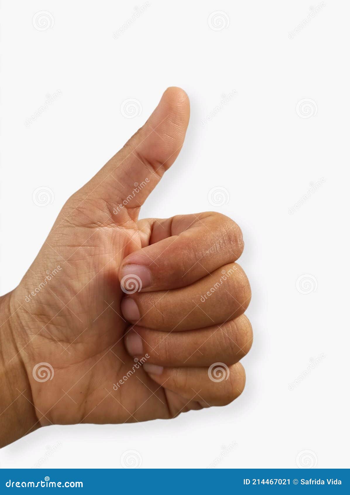 View of Tumb Finger of Hand on White Background Stock Image - Image of ...