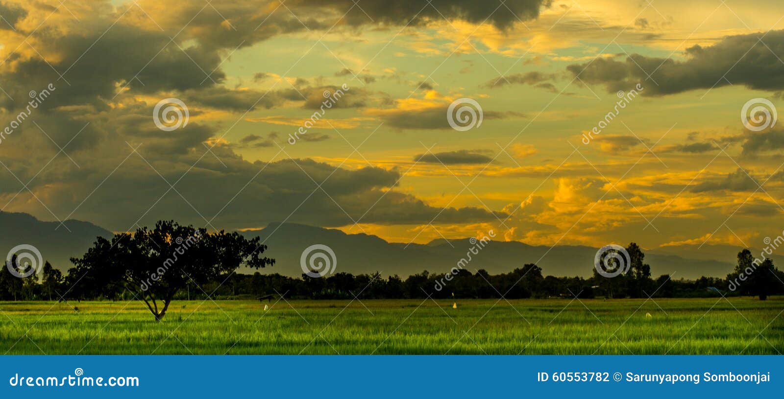 The View Twilight with Sunset Stock Photo - Image of yellow, cloud ...